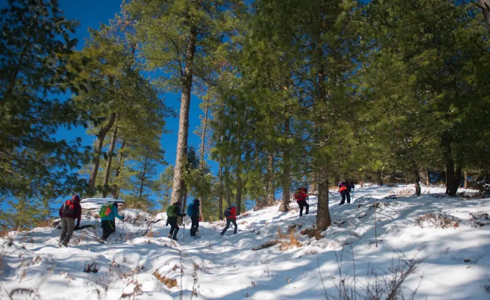 Adventurescape - Dashboard