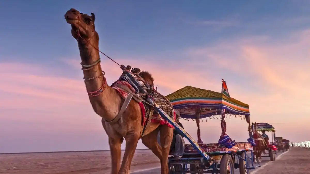 Adventurescape - Dashboard