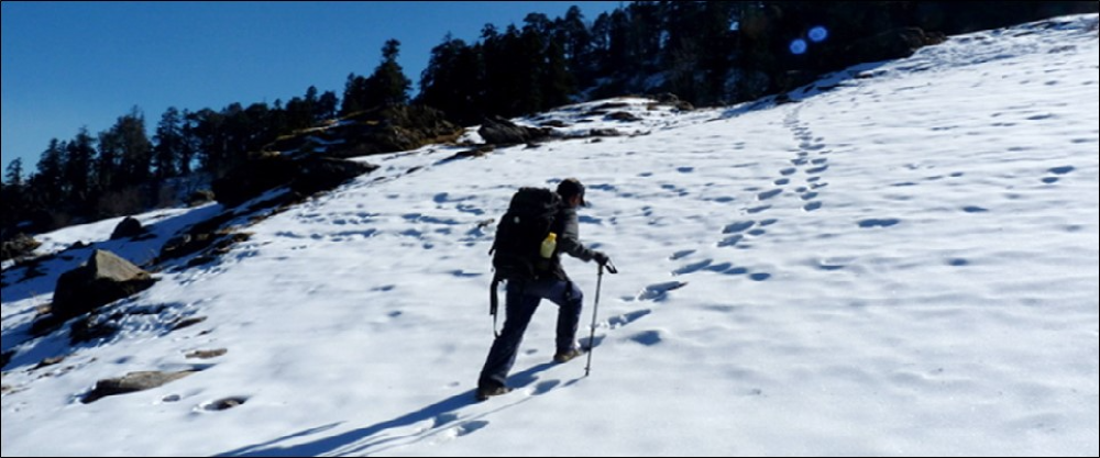 Adventurescape - Dashboard